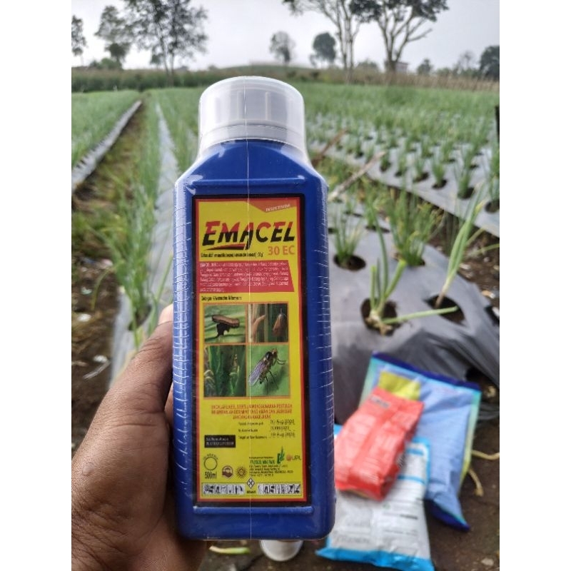 Jual Insektisida Emacel 30ec 500ml Produk Original | Shopee Indonesia