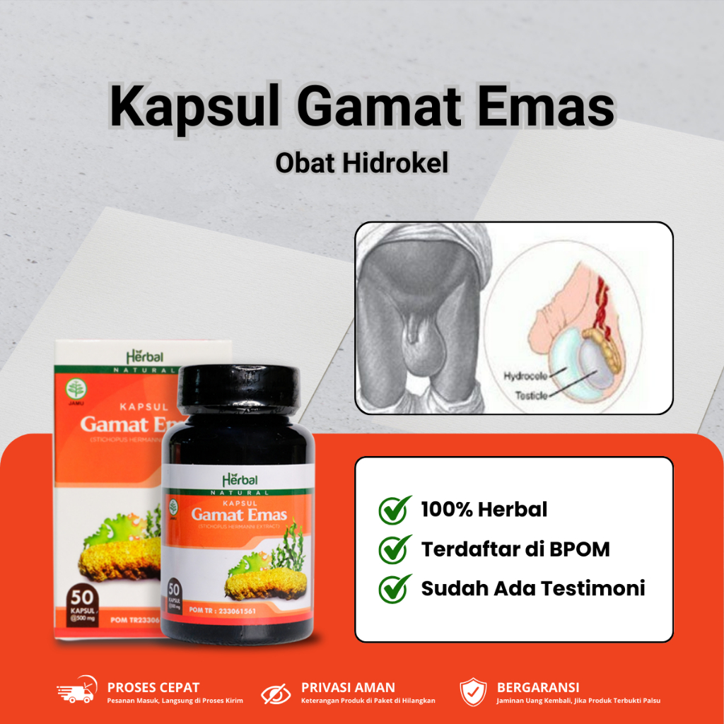 Jual Kapsul Gamat Emas - Obat Hidrokel Testis Bengkak Sakit Buah Zakar ...