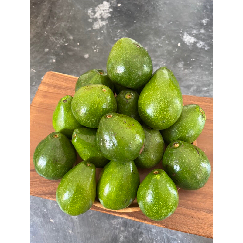 Jual Alpukat Mentega Super fresh 1kg | Shopee Indonesia