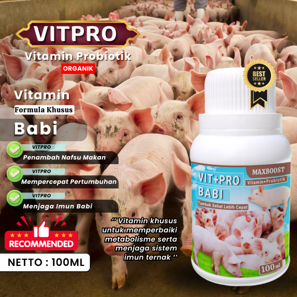 Jual Vitpro Nutrisi Ternak Babi Probiotik Vitamin Ternak Organik ...