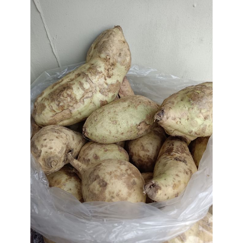 Jual Ubi Jalar Putih Segar 1 Kg | Shopee Indonesia