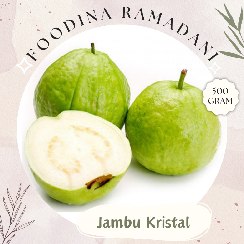 Jual JAMBU KRISTAL Tanpa Biji - Crystal Guava Fresh [ 500gr ] Harga Per ...