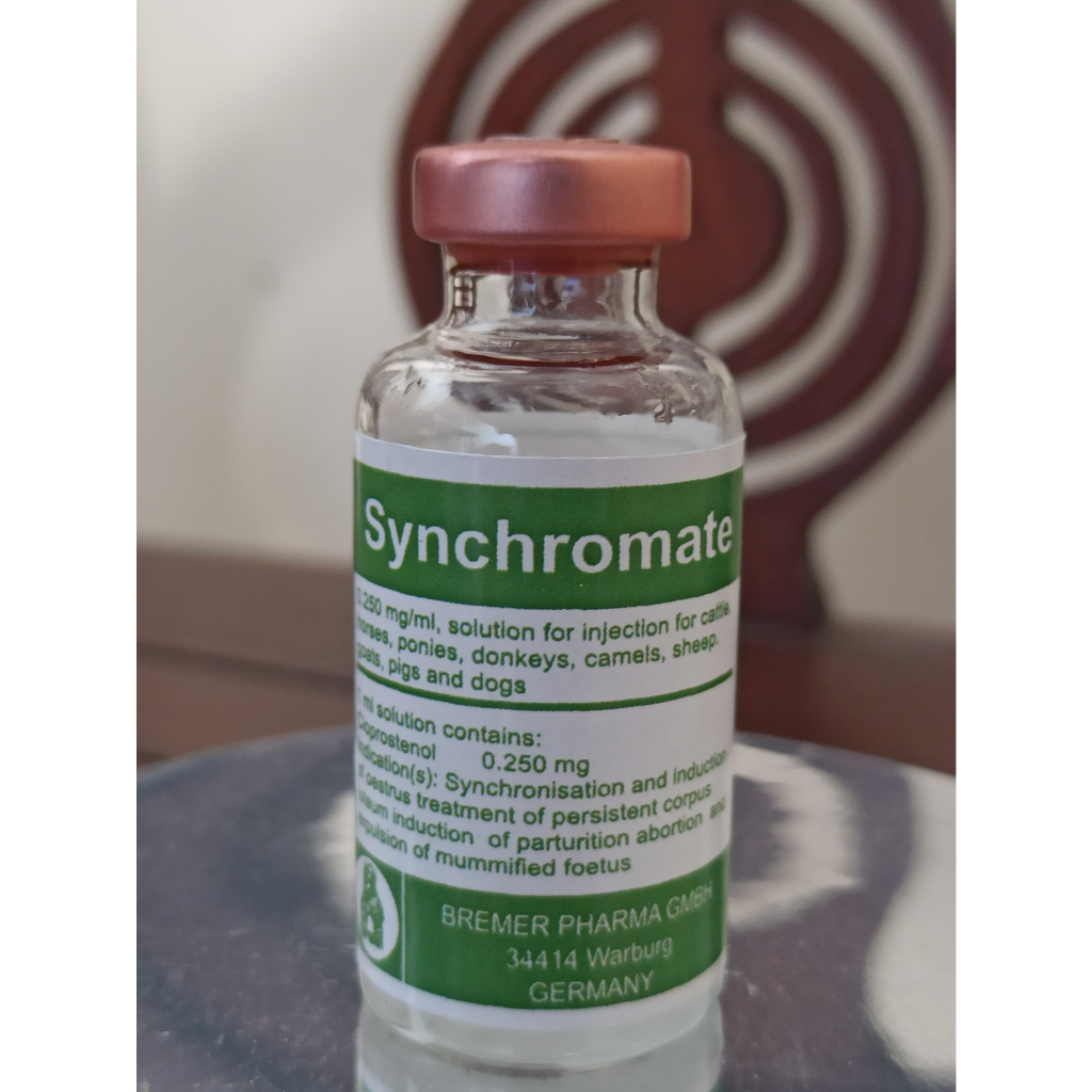 Jual Synchromate untuk sinkronisasi birahi IB | Shopee Indonesia