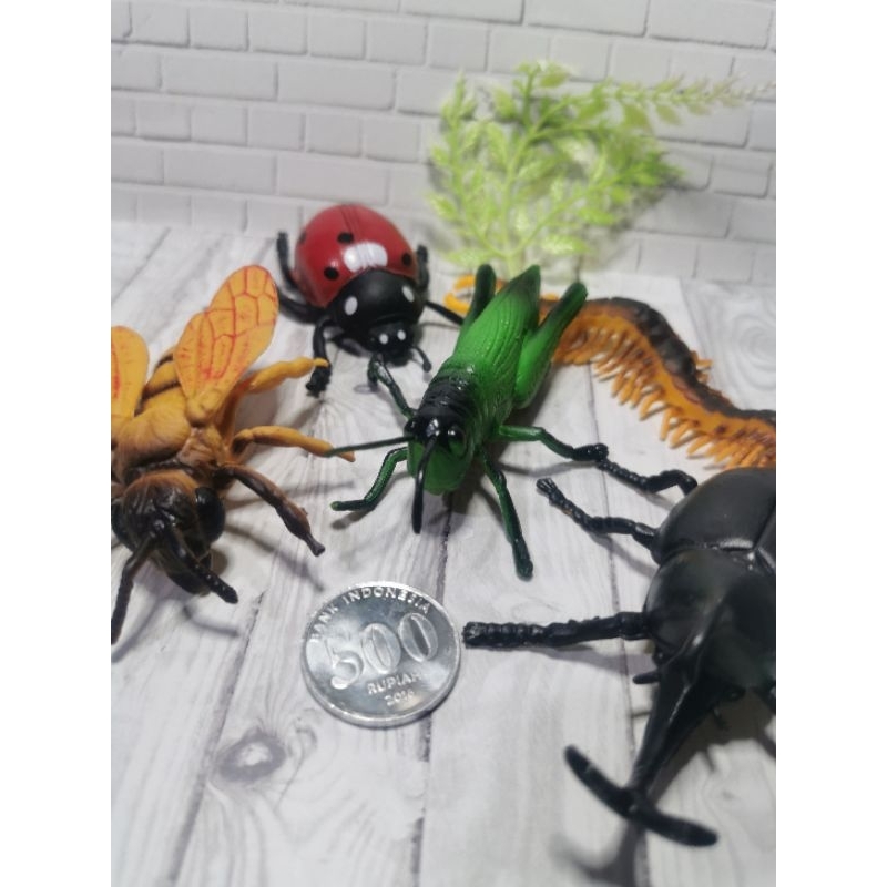 Jual mainan miniatur animal insect hewan serangga karet kelabang ...