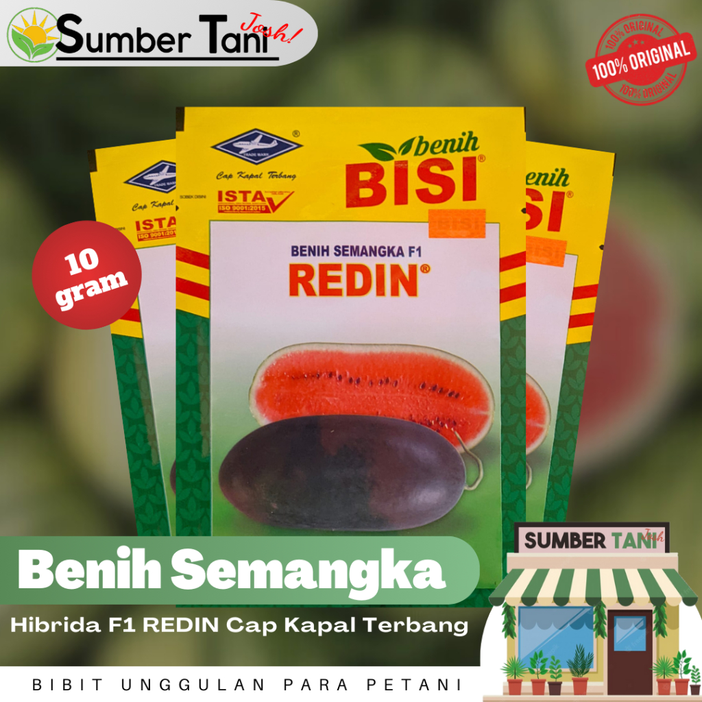 Jual Benih Semangka Hibrida F1 REDIN Cap Kapal Terbang 10gram | Shopee ...