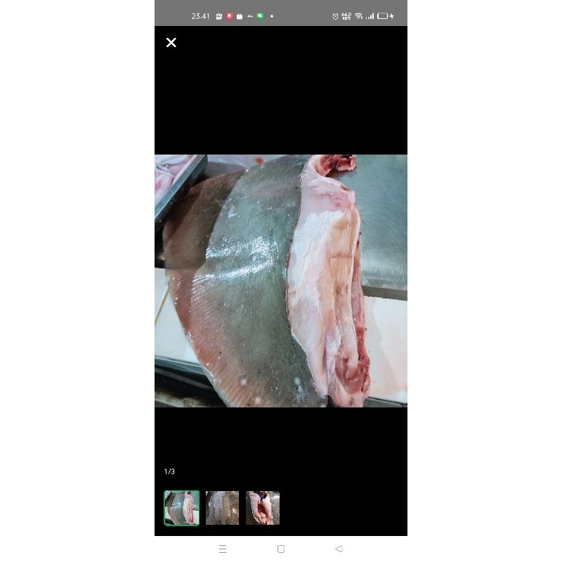 Jual Ikan Pari Potong Segar 1kg | Shopee Indonesia