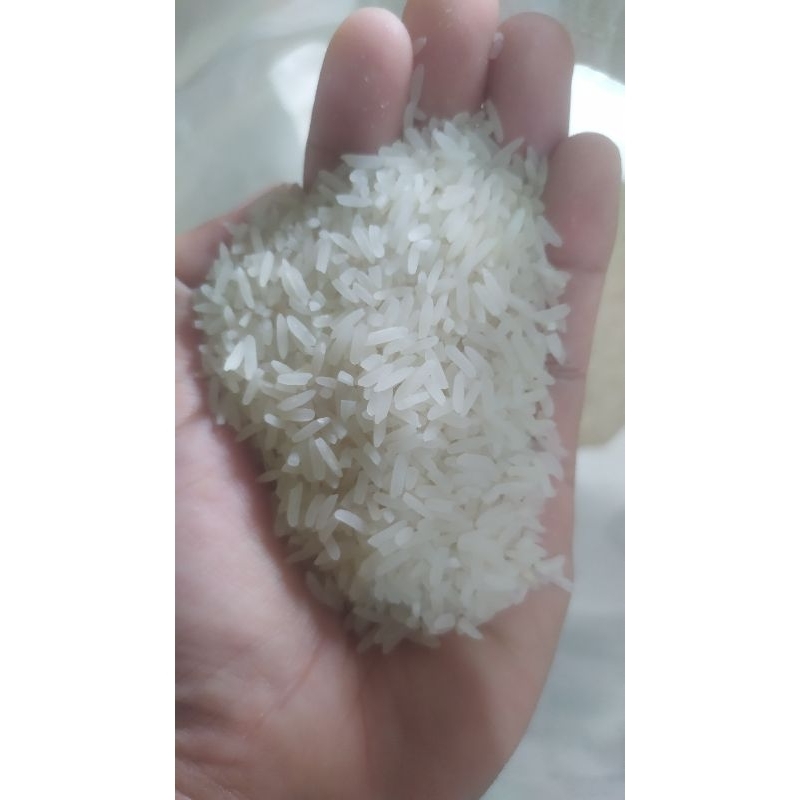 Jual BERAS SIAM UNUS BANJAR 1LITER | Shopee Indonesia