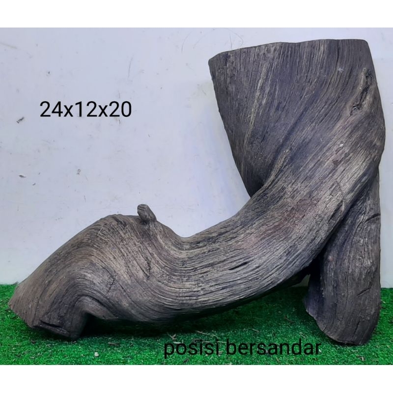 Jual Kayu Santigi Laut - Kayu Tenggelam - Aquascape - Aquarium - Taman ...