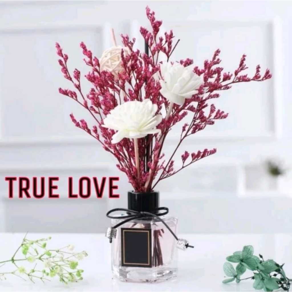 Jual Pengharum Ruangan / Reed Diffuser Aromatheraphy Dry Flower's ...