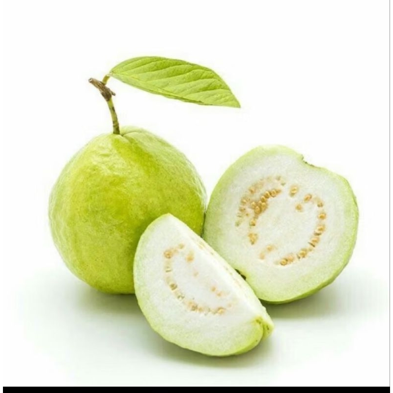 Jual Jambu klutuk , jambu biji 1kg | Shopee Indonesia