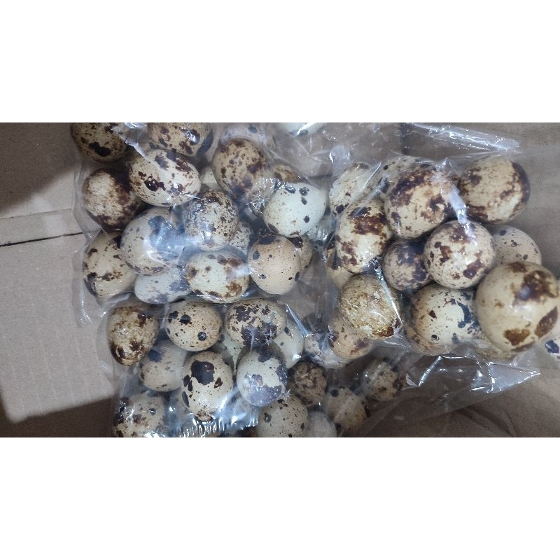Jual Telur puyuh telur ayam horn | Shopee Indonesia