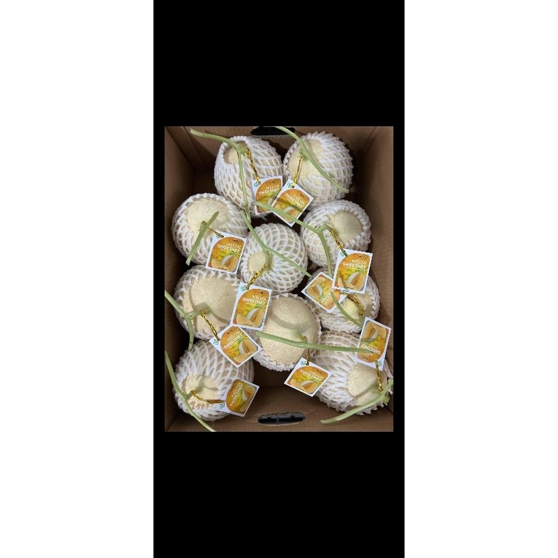 Jual melon sweetnet | Shopee Indonesia
