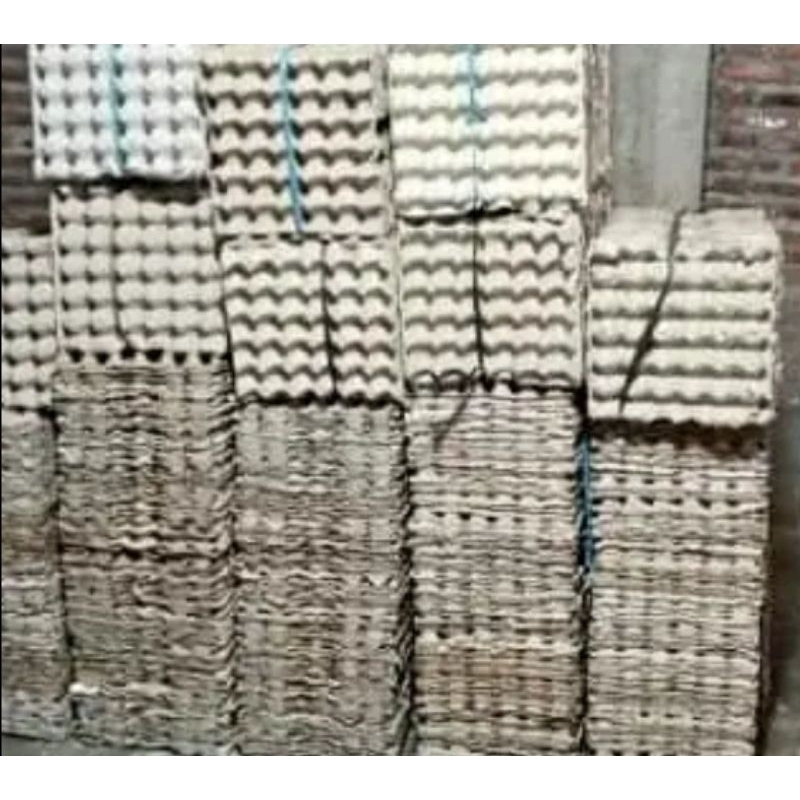 Jual Tray Telur / Egg tray / tempat telur bekas layak pakai isi 10 pcs ...