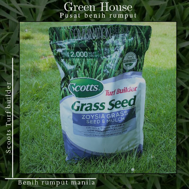 Jual Benih rumput - benih rumput manila 100gram - Benih Zoysia Matrella ...