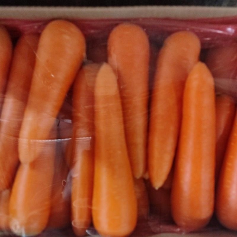 Jual Wortel Import Fresh Segar | Shopee Indonesia