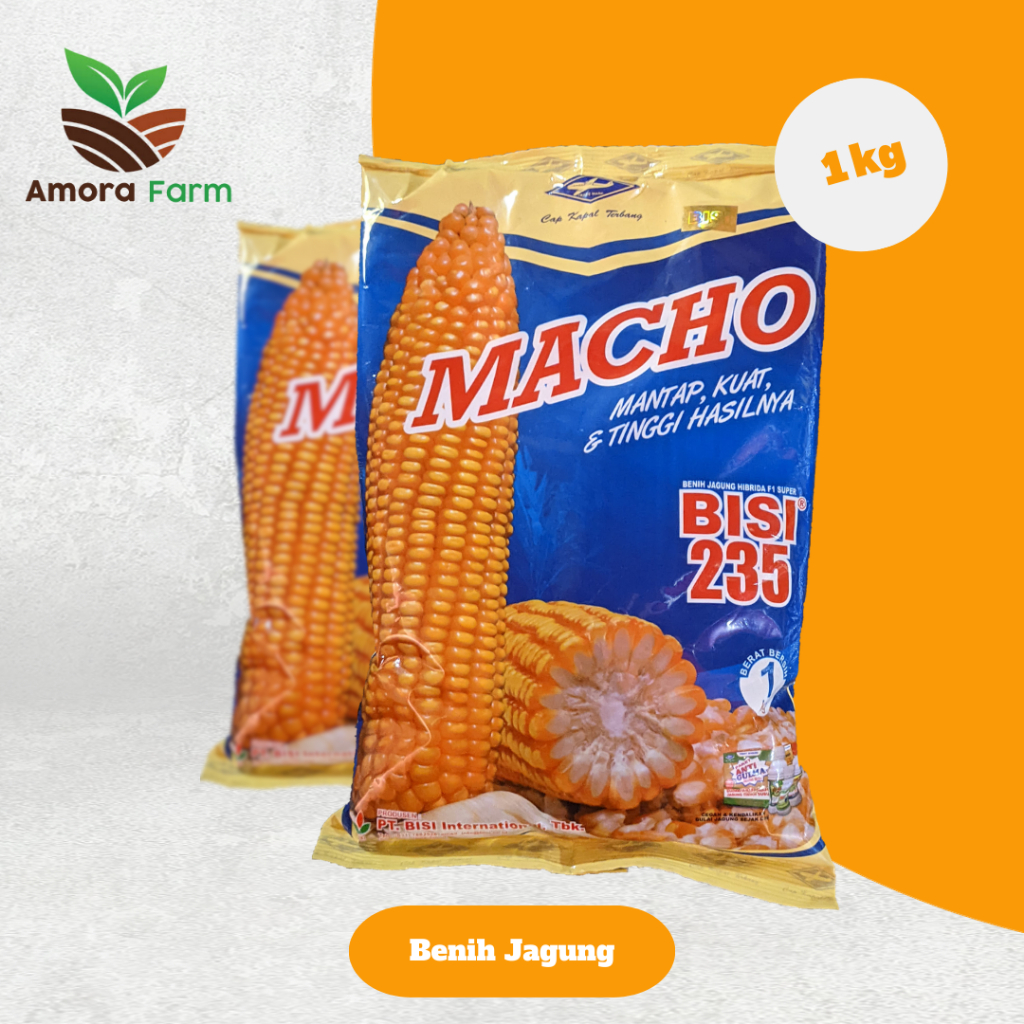 Jual Benih Jagung Hibrida BISI-235 Macho Cap KAPAL TERBANG Kemasan 1kg ...