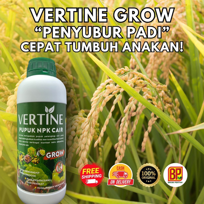 Jual Vertine Grow Pupuk Pelebat Anakan Padi + Perekat + Pemicu Special Penambah Benih dan Bobot ...