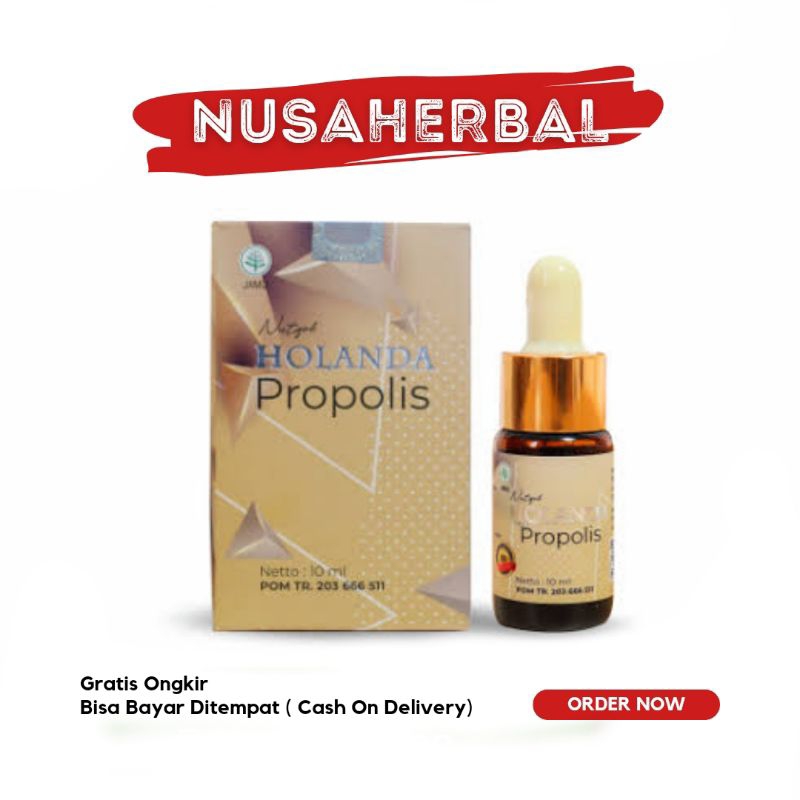 Jual HOLANDA Propolis Original Solusi Masalah Diabetes Hipertensi Asam ...