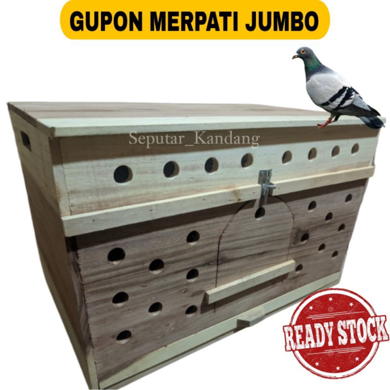 Jual Gupon Merpati Jumbo Kandang Merpati Jumbo Kandang Perjodohan Merpati | Shopee Indonesia