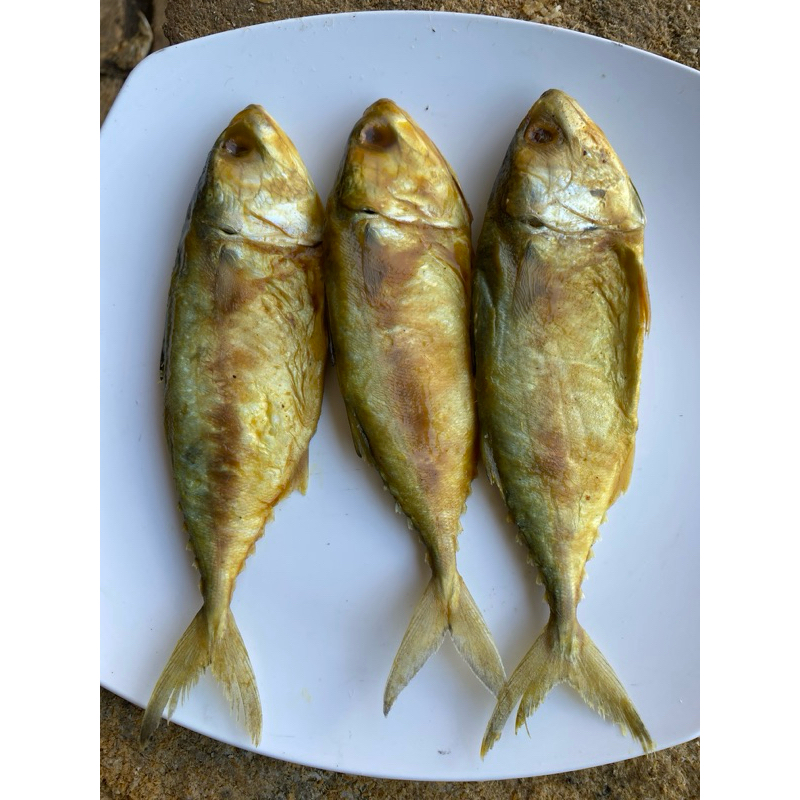 Jual ikan asin peda merah sedang fresh = 250g/500g/1kg best seller ...