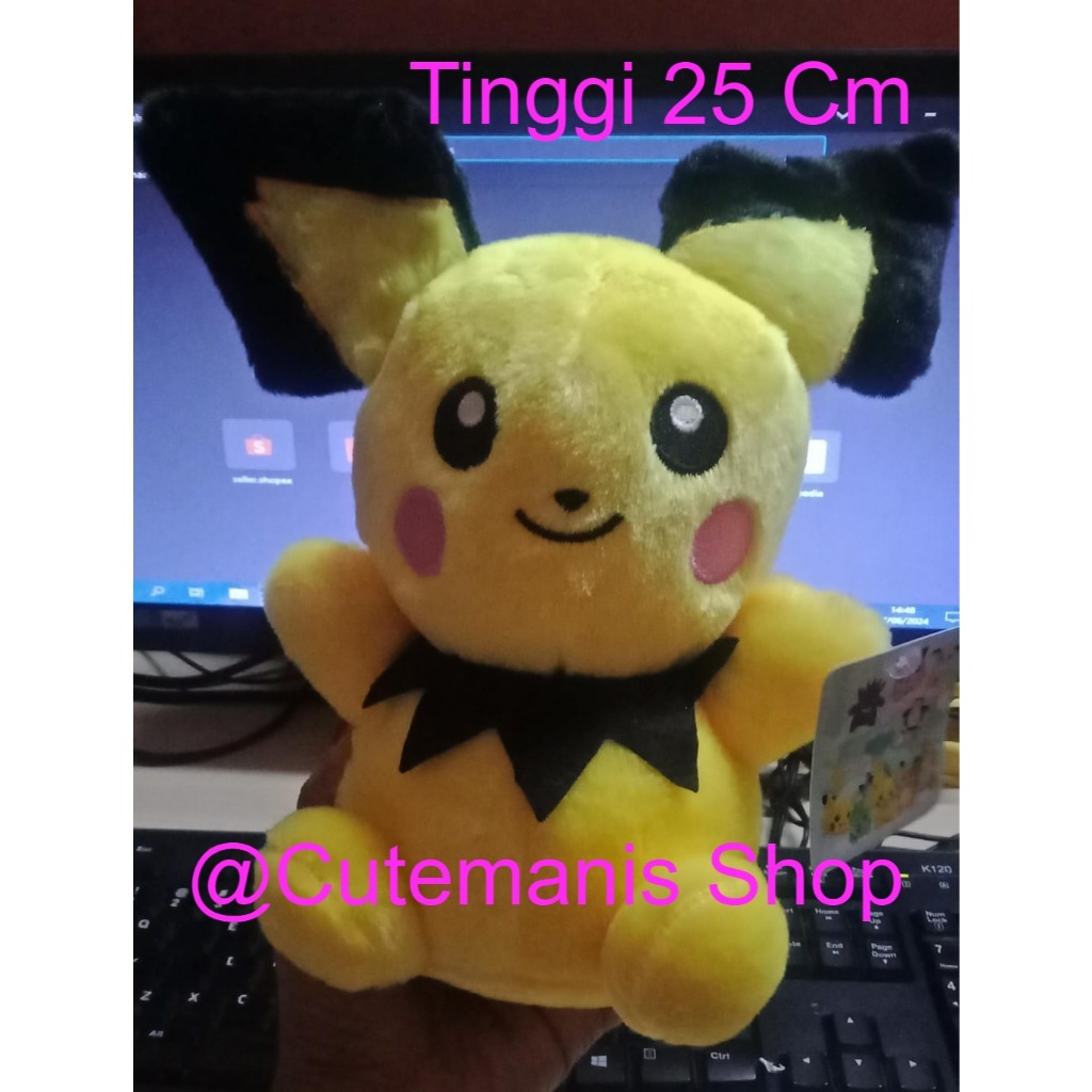 Jual Boneka Karakter POKEMON Eevee Pichu Squirtle Jigglypuff | Shopee ...