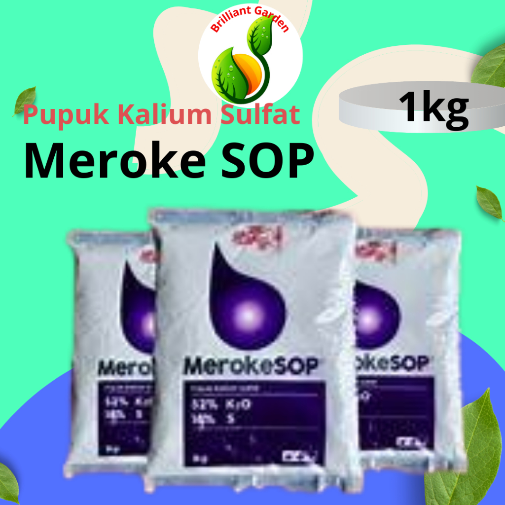 Jual Pupuk Meroke SOP kemasan original pabrik @ 1kg | Shopee Indonesia