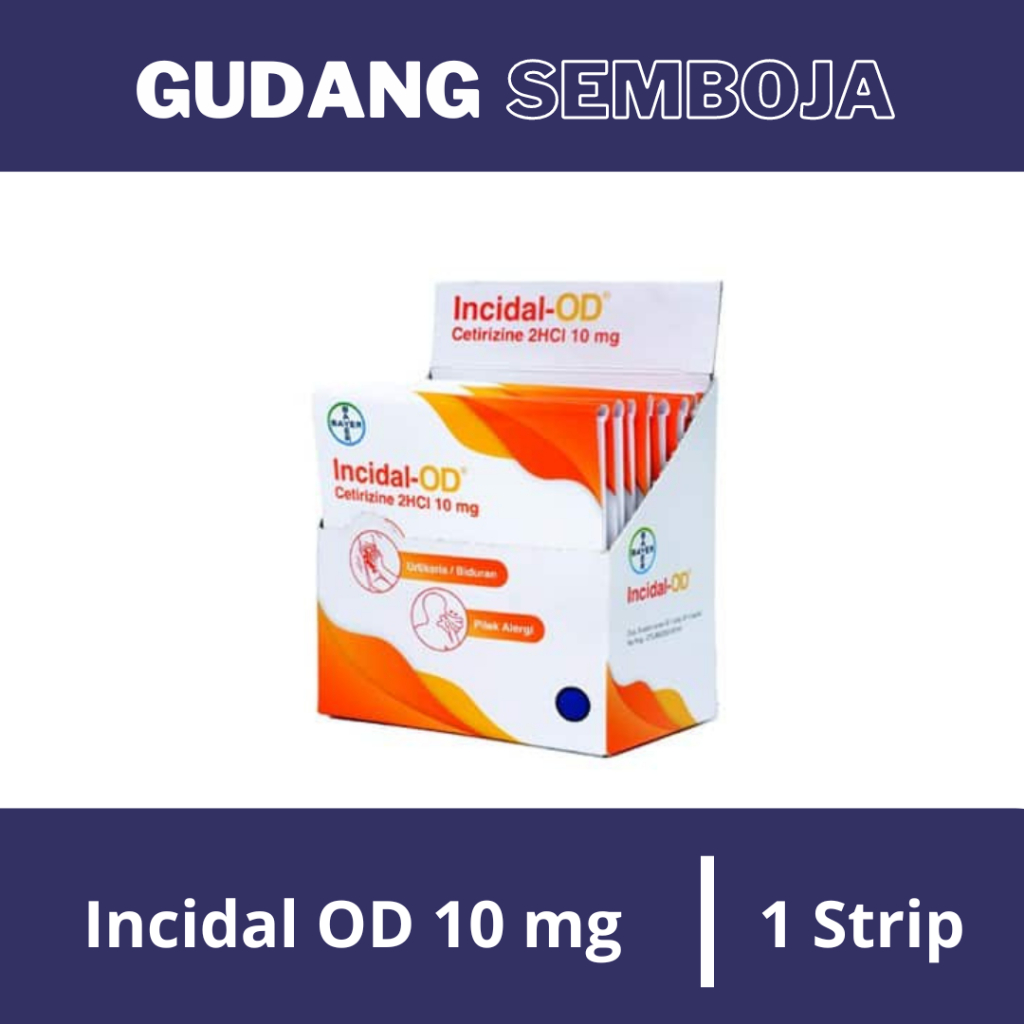 Jual Incidal Strip Isi 4 Tablet / Obat Gatal Biduran | Shopee Indonesia