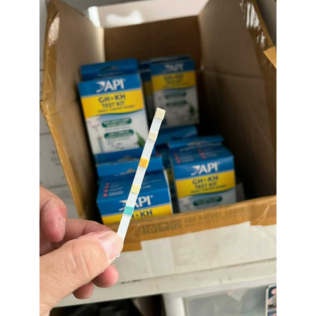 Jual Water Test API Test STRIPS 5 in 1 TEST Kit PH NITRIT NITRAT KH GH ...