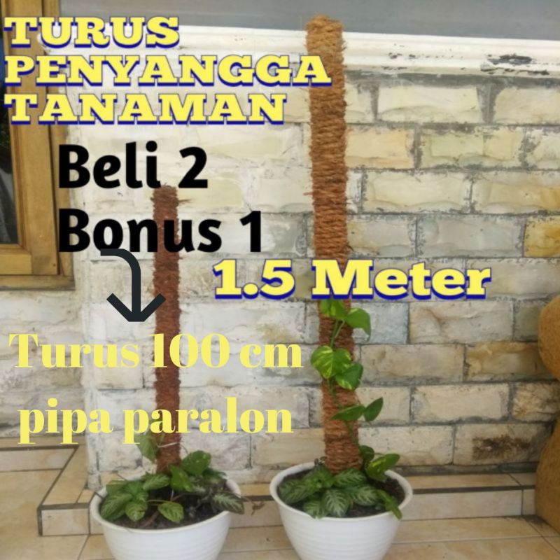 Jual Turus penyangga tanaman penopang ajir tiang tongkat 150 cm bunga ...