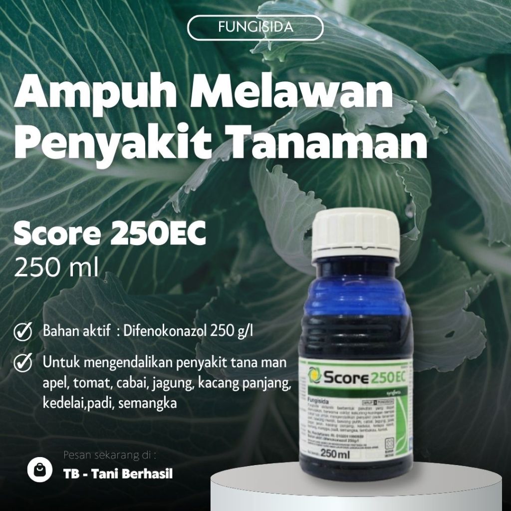 Jual Fungisida Score 250 EC 250 ml, Ampuh Melawan Penyakit Tanaman ...