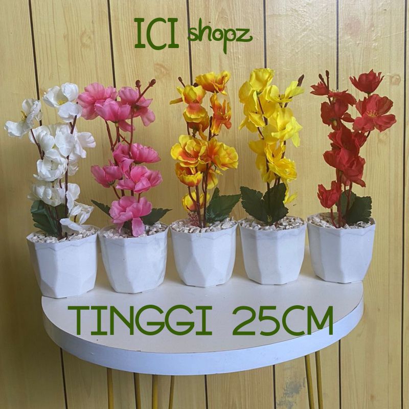 Jual Sakura + Pot Permata Sudah Rangkaian | Shopee Indonesia