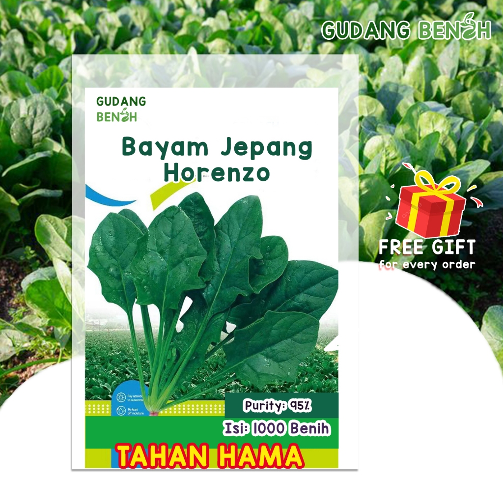 Jual Bibit Bayam Jepang Horenzo Isi 1000 Benih Sayuran Berkualitas ...