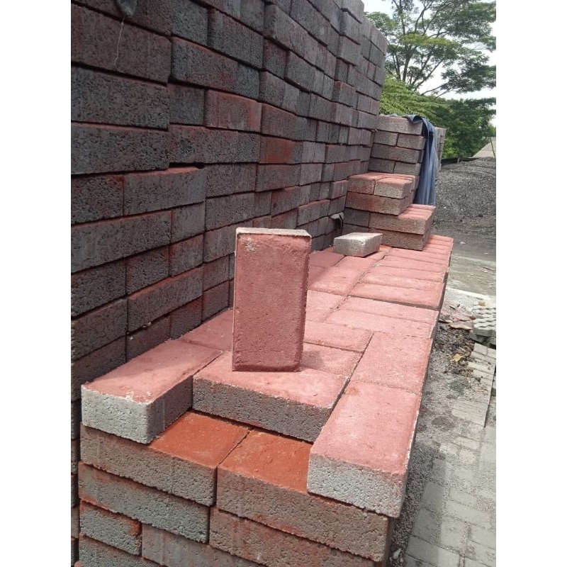Jual Paving Block Bata 6 cm Merah Murah Berkualitas 40 Meter | Shopee ...