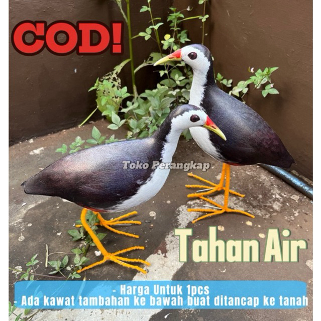 Jual Patung Jontrot Burung Ruak Ruak Kareo Padi / Ruakruak sawah ...