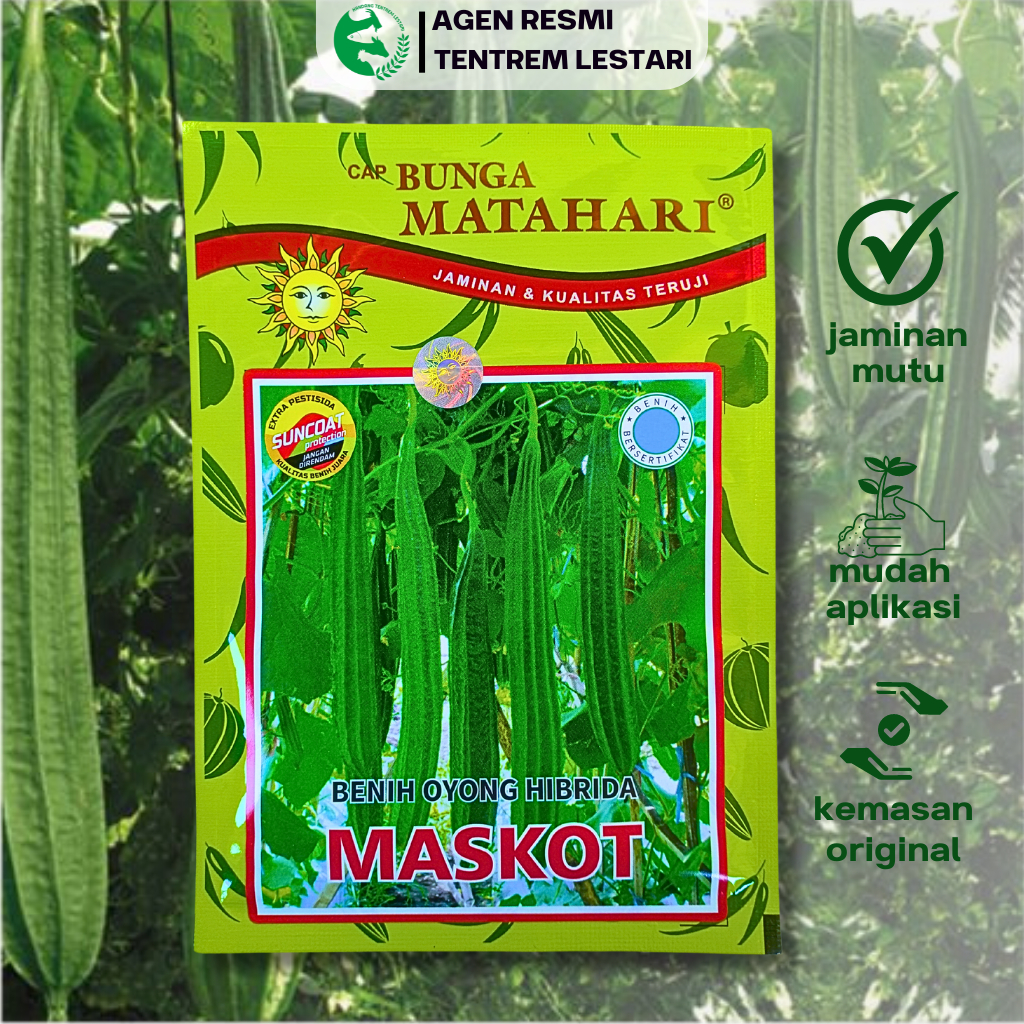 Jual Benih Gambas Oyong Hibrida MASKOT 10 gram Asli Cap Bunga Matahari ...