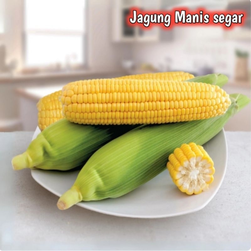 Jual PROMO JAGUNG MANIS SEGAR 1KG/JAGUNG MANIS SUPER/JAGUNG MURAH ...