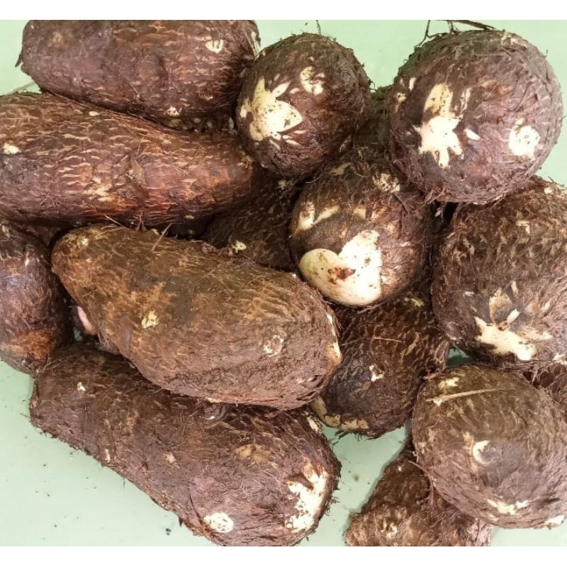 Jual Talas Belitung kimpul tua pulen/ubi Cilembu/1kg.ukuran sedang ...
