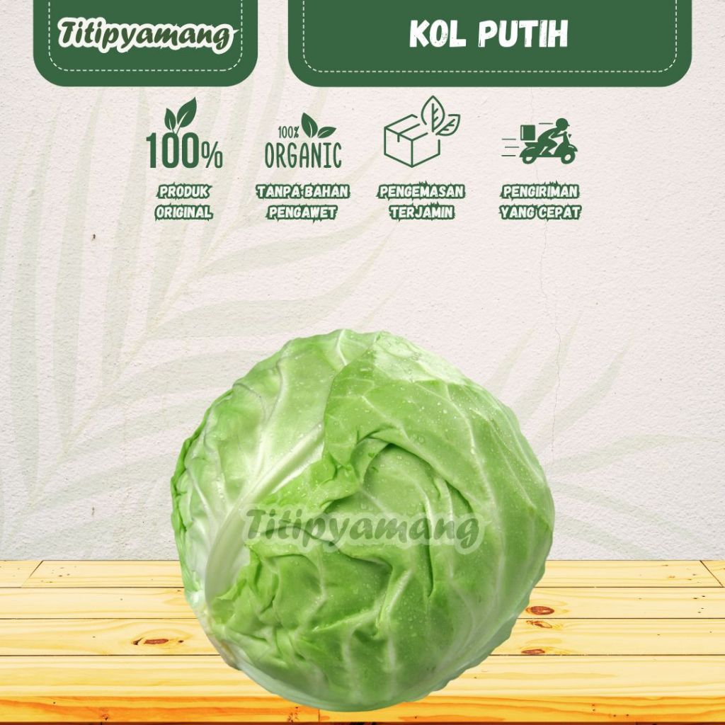 Jual Kol putih segar | Kubis | Fresh cabbage | Shopee Indonesia