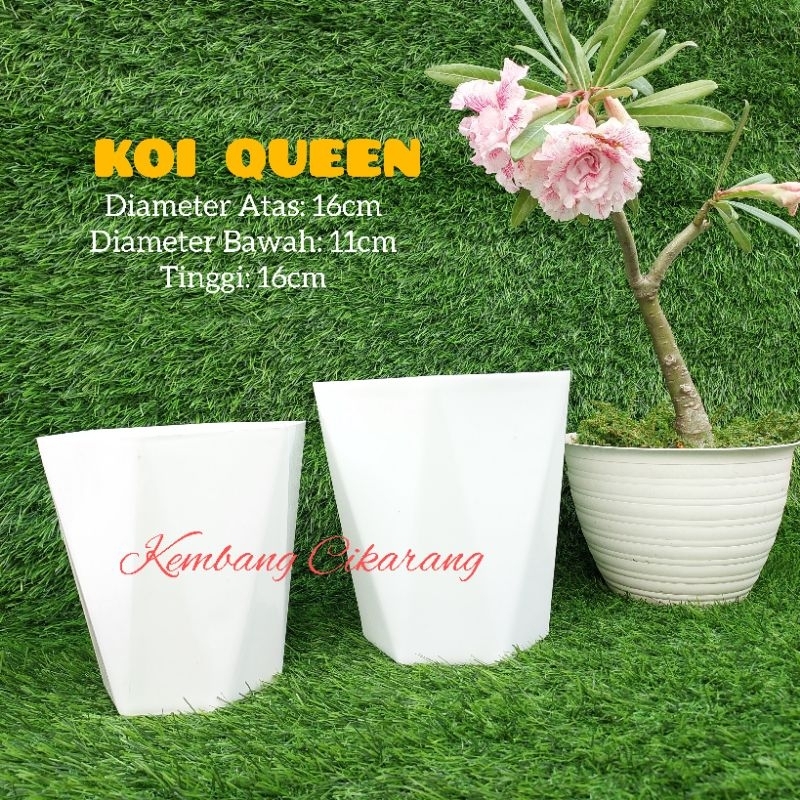 Jual (1pc) KOI QUEEN 20-25 : pot bunga segi 6 mirip diamond glosi ...