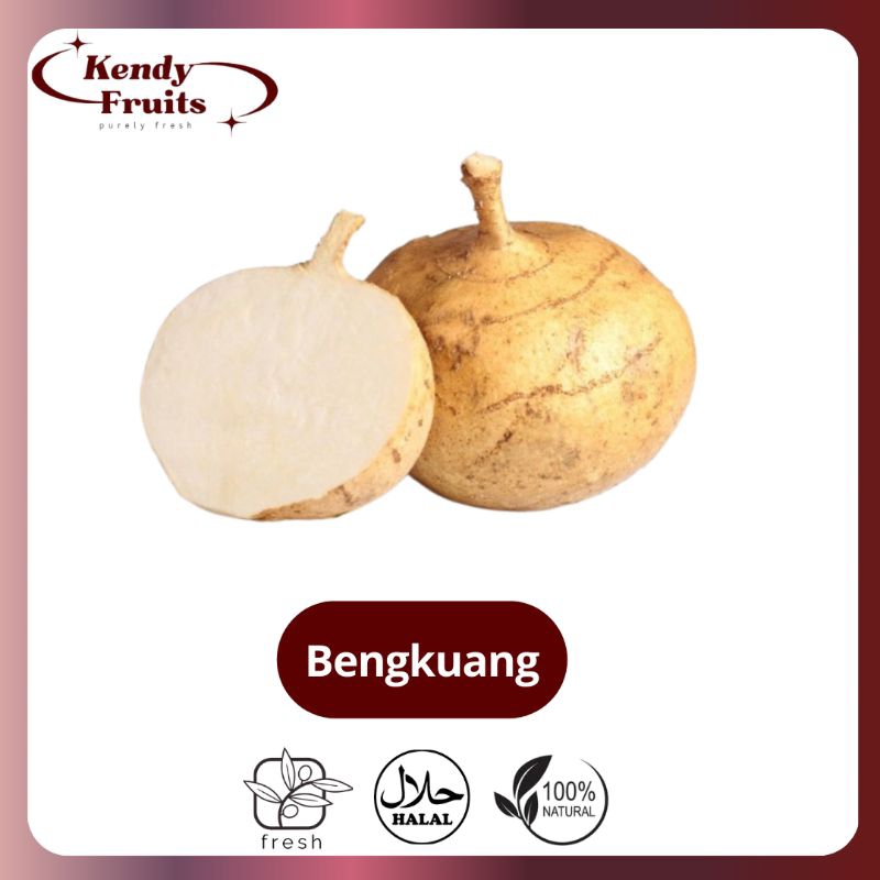 Jual BENGKUANG (Bengkoang) 1 Kg | Buah Segar Sehat Fresh | Shopee Indonesia