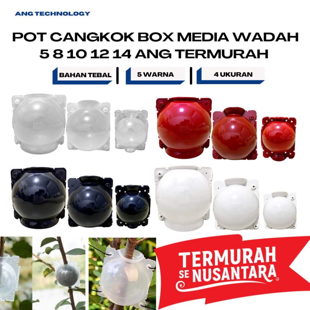 Jual Bola Cangkok Box 5 8 10 12 14 Bening Hitam Putih Merah Bata ANG ...