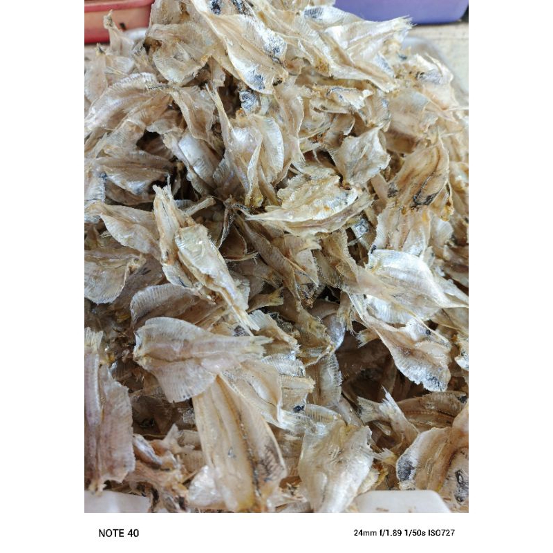 Jual IKAN ASIN PAKANG TAWR/IKAN TIPIS TAWAR/Ikan krupuk berat/1kg ...
