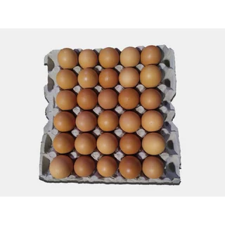 Jual Telur Ayam 1 Kg Terlengkap & Harga Terbaru Juni 2025 | Shopee ...