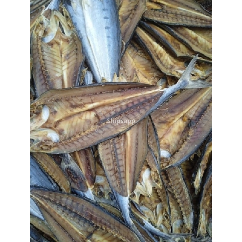Jual Ikan Asin Gulama/ Ikan Asin Belah (Seafood Kering) | Shopee Indonesia
