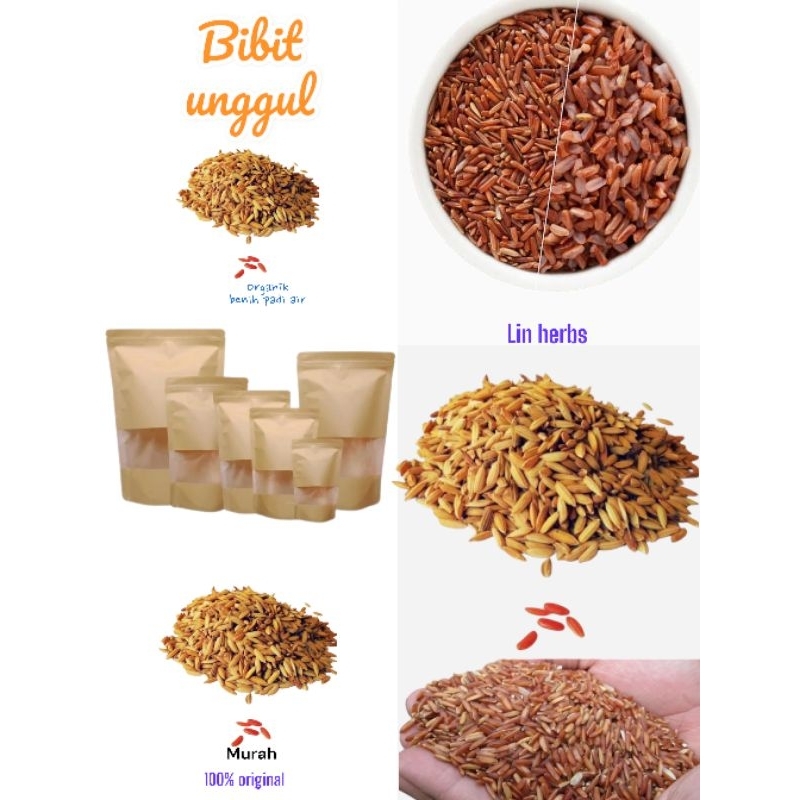 Jual Bibit unggul padi merah air organik siap tanam cap huma/bungkus ...