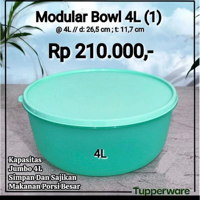 Jual MODULAR BOWL 4L TUPPERWARE | Shopee Indonesia