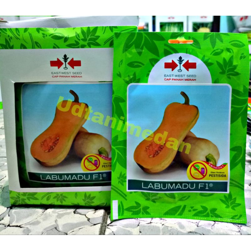 Jual Benih Labu Madu f1 isi 10 butir | Shopee Indonesia