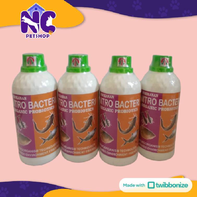 Jual NITROBACTER 500ML - Cairan probiotik pengurai amonia penghilang ...