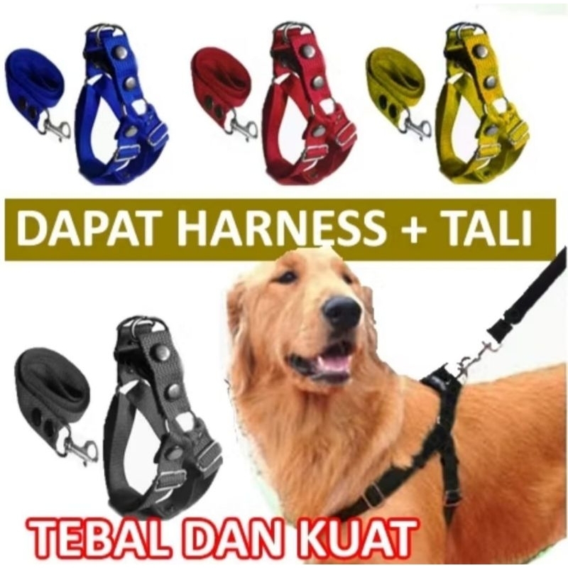 Jual HARNESS ANJING TEBAL SATU SET + TALI TUNTUN PANJANG 1.5 METER ...