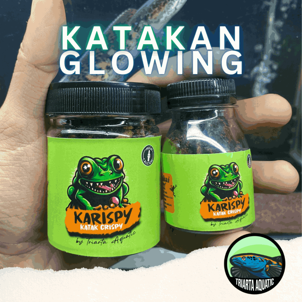 Jual Karispy Katak Crispy katak sawah kering, pakan ikan predator ...